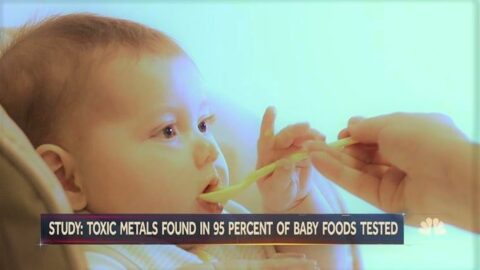Toxic Baby Food - The 20/20 Plan