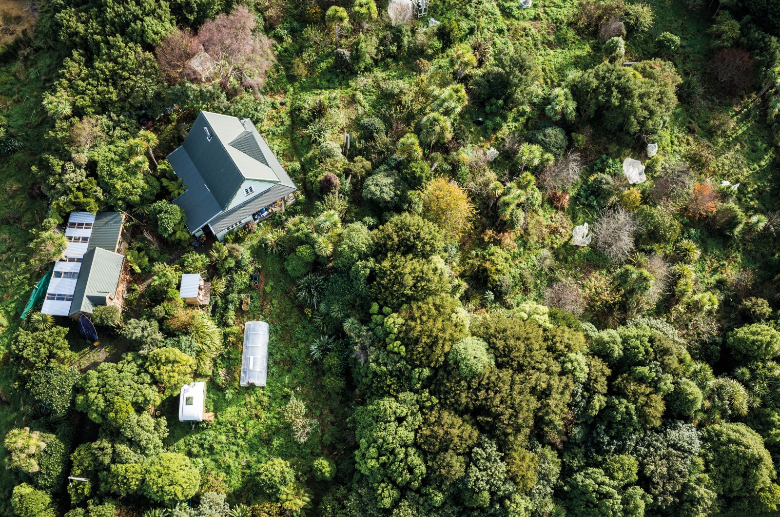Food Forests - The 20/20 Plan