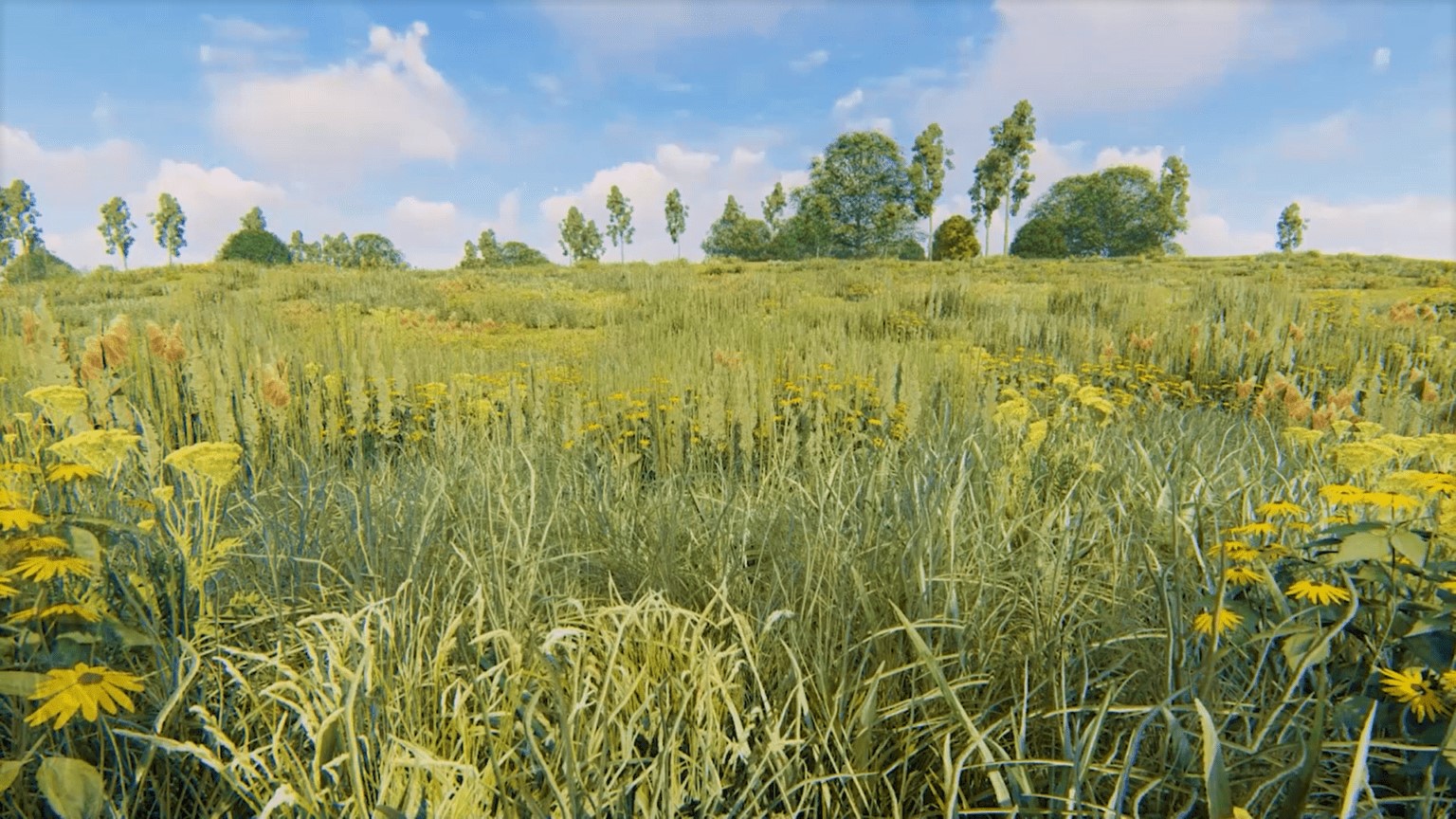 Prairies / Grasslands - The 20/20 Plan